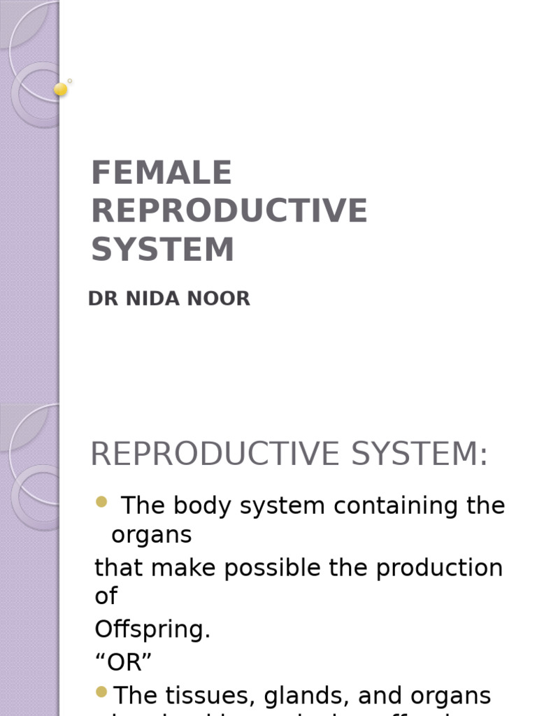 Female Reproductive System | PDF | Uterus | Labia