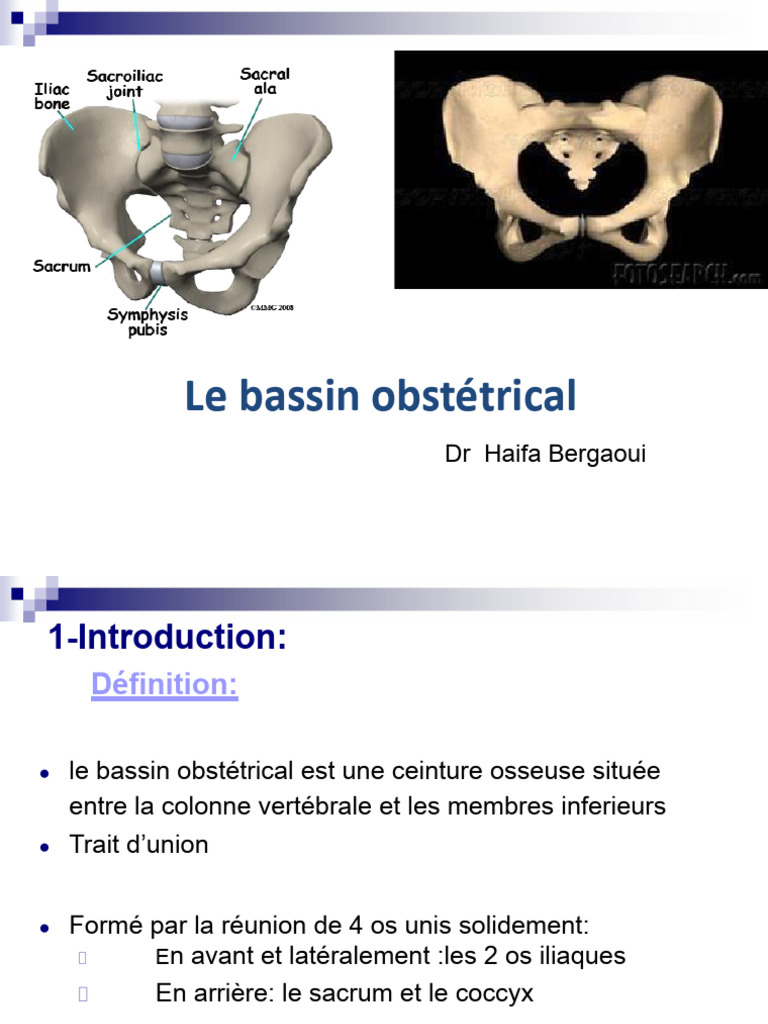 Anatomie et Évaluation du Bassin Obstétrical | PDF | Bassin (anatomie ...