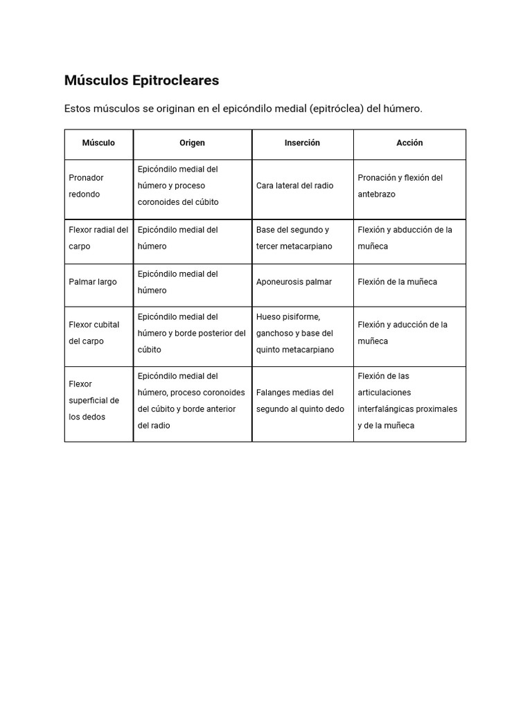 Kinesiología, Tarea de Miología, Gianni Vatri | PDF | Tejido suave ...
