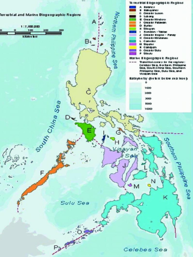 Endemic Animals of the Philippines | PDF