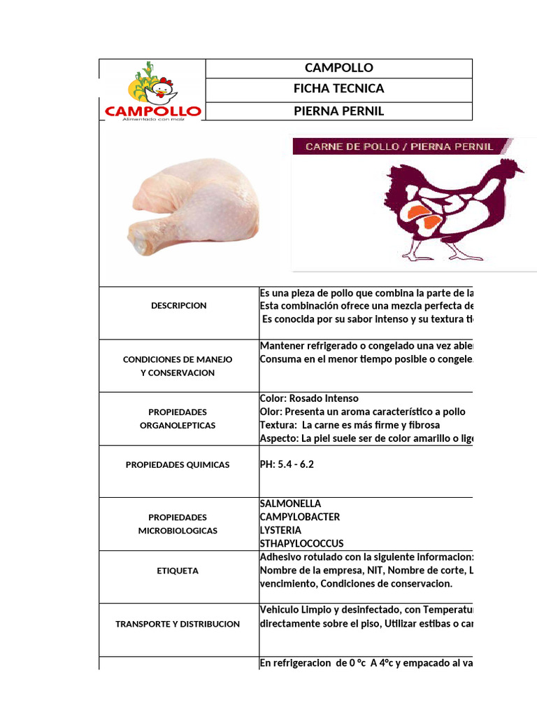 Ficha Tecnica Pierna Pernil | PDF | Carne | Conservación de los alimentos