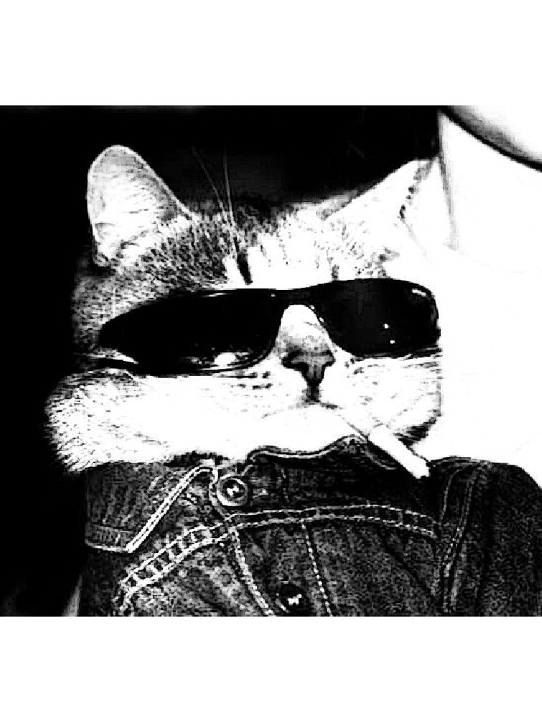 badmash billa the bandits | PDF