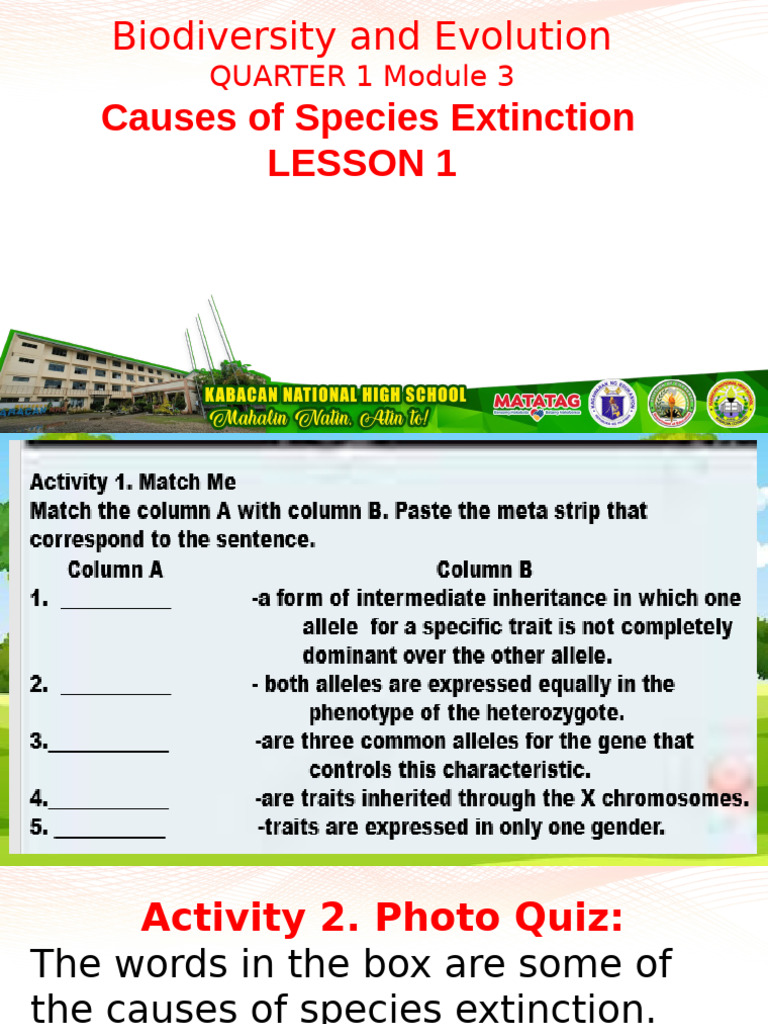 Causes of Species Extinction | PDF | Biodiversity | Species