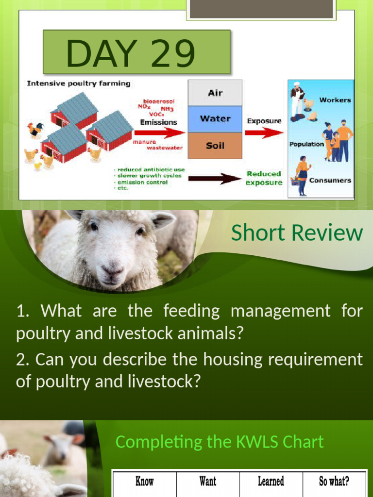 Poultry and Livestock Products Overview | PDF | Livestock | Waste ...