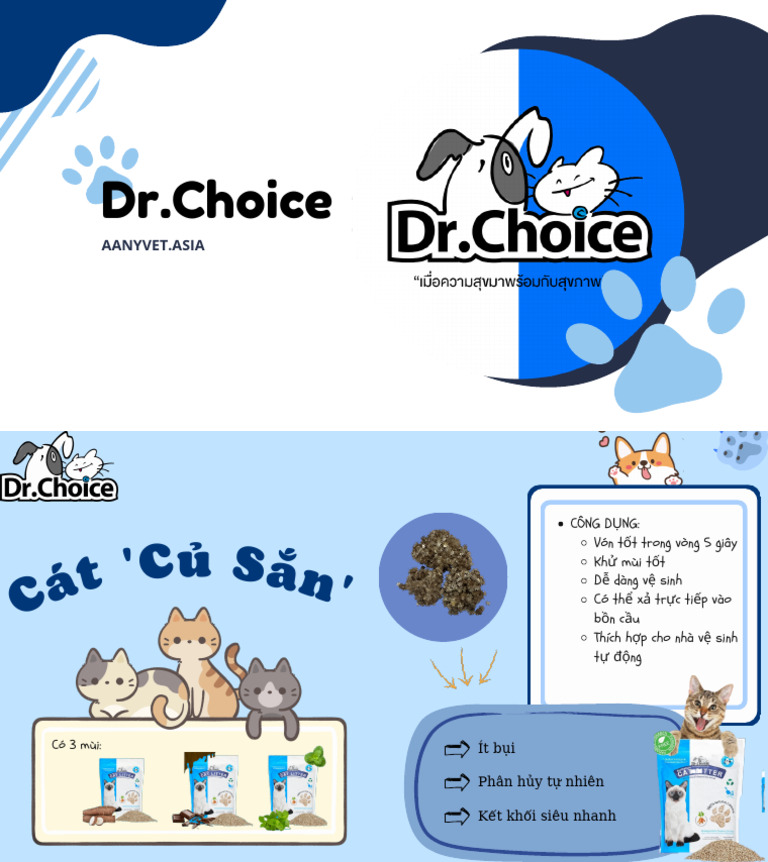 DR Choice | PDF
