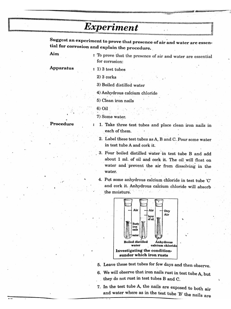 Lab activity corrosion | PDF