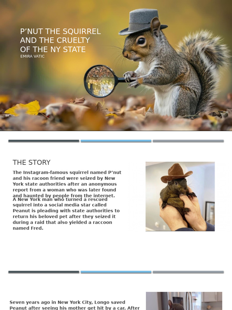 P'nut The Squirrel | PDF