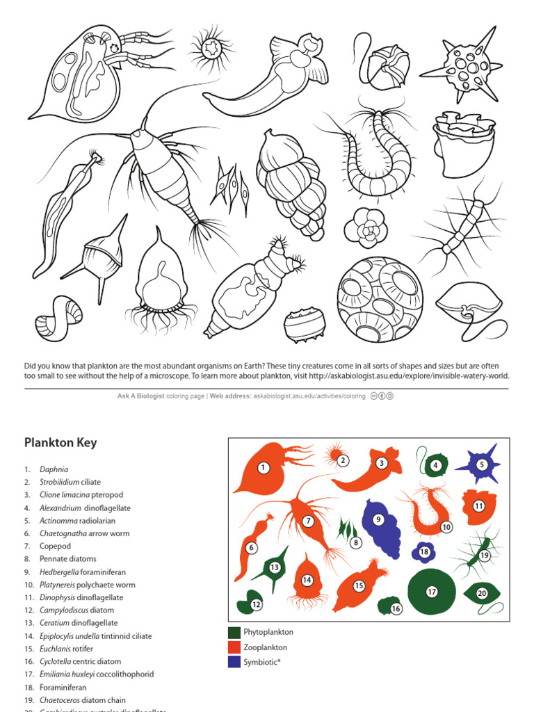 Aab Plankton Coloring Page | PDF | Plankton | Hydrology
