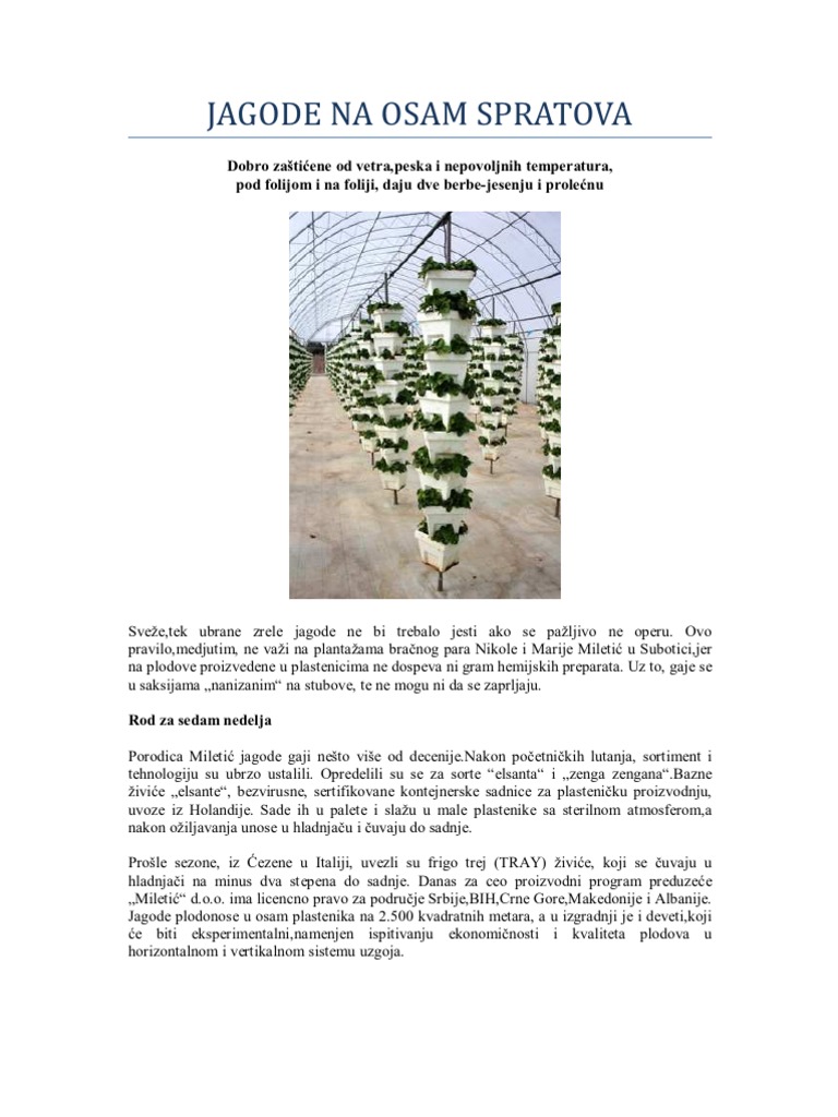 Jagode Na Osam Spratova I Sadnja | PDF