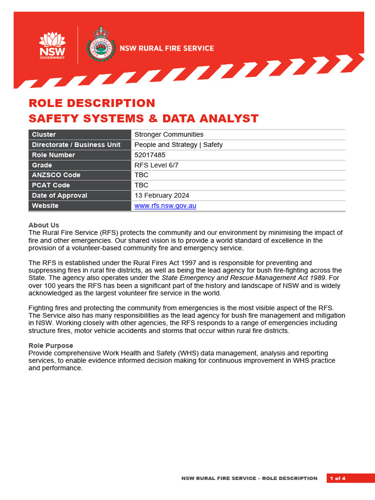Safety Systems & Data Analyst Role | PDF | Databases | System