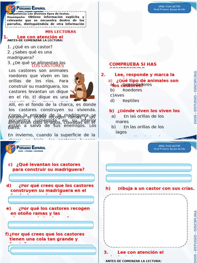 Semana 08 Plan Lector Ivb | PDF | Castor