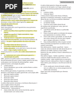 11 - Região Poplítea | PDF | Joelho | Anatomia humana