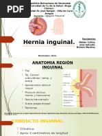 Anatomía de la Región Inguinocrural | PDF | Abdomen | Anatomía