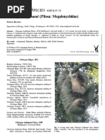 Sloths | PDF | Mammal Orders | Herbivorous Animals