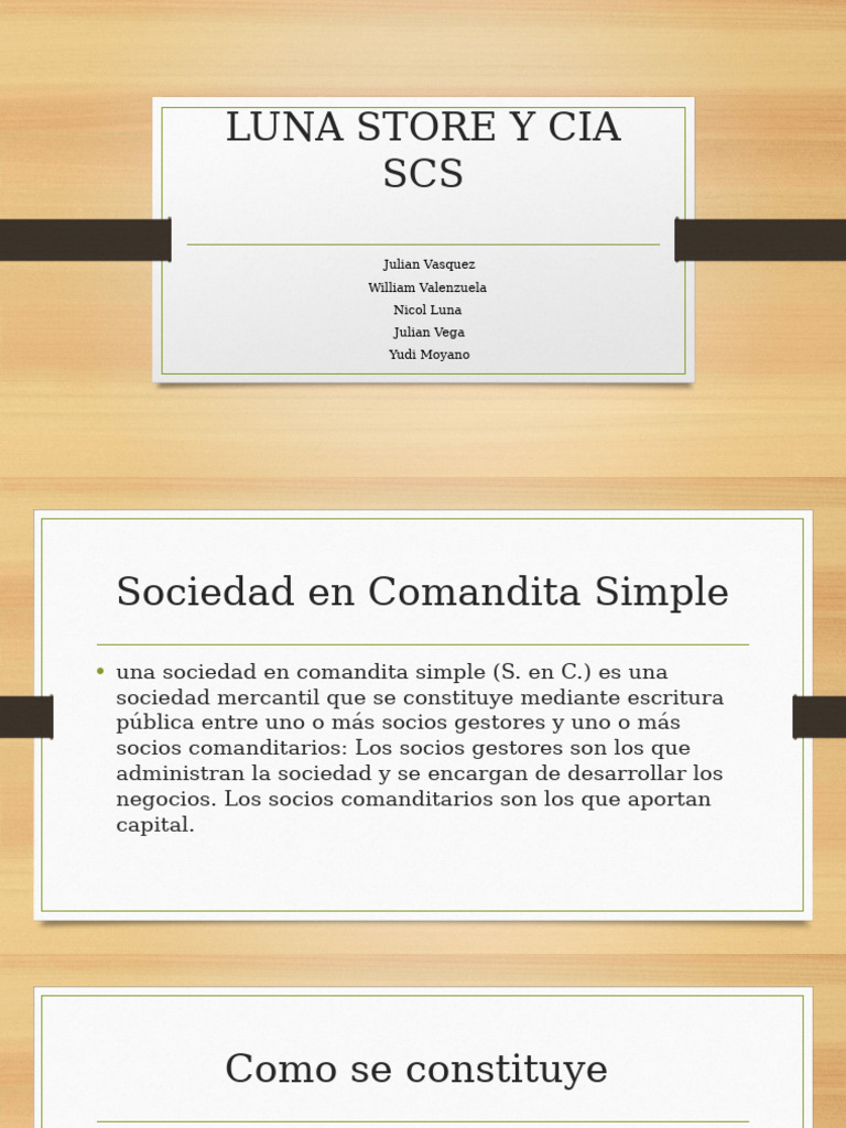 Luna Store y CIA Scs | PDF | Business