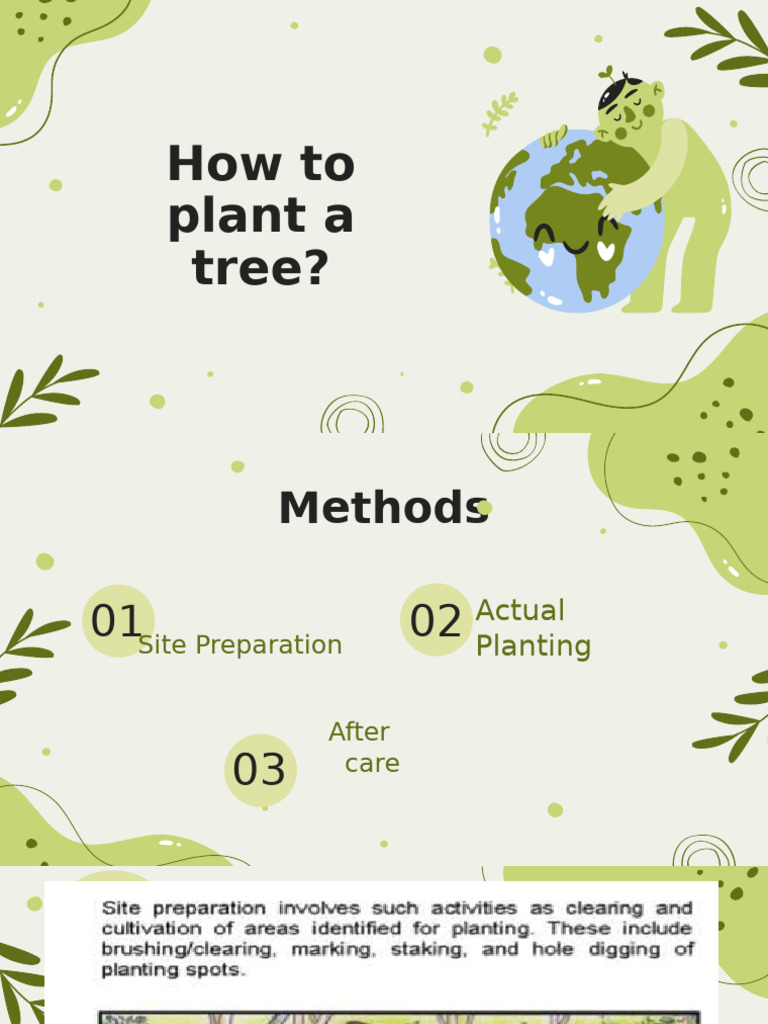 Procedures On Tree Planting | PDF