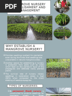 Ocean Crops in Coral Island Guide | PDF | Vegetables | Botany