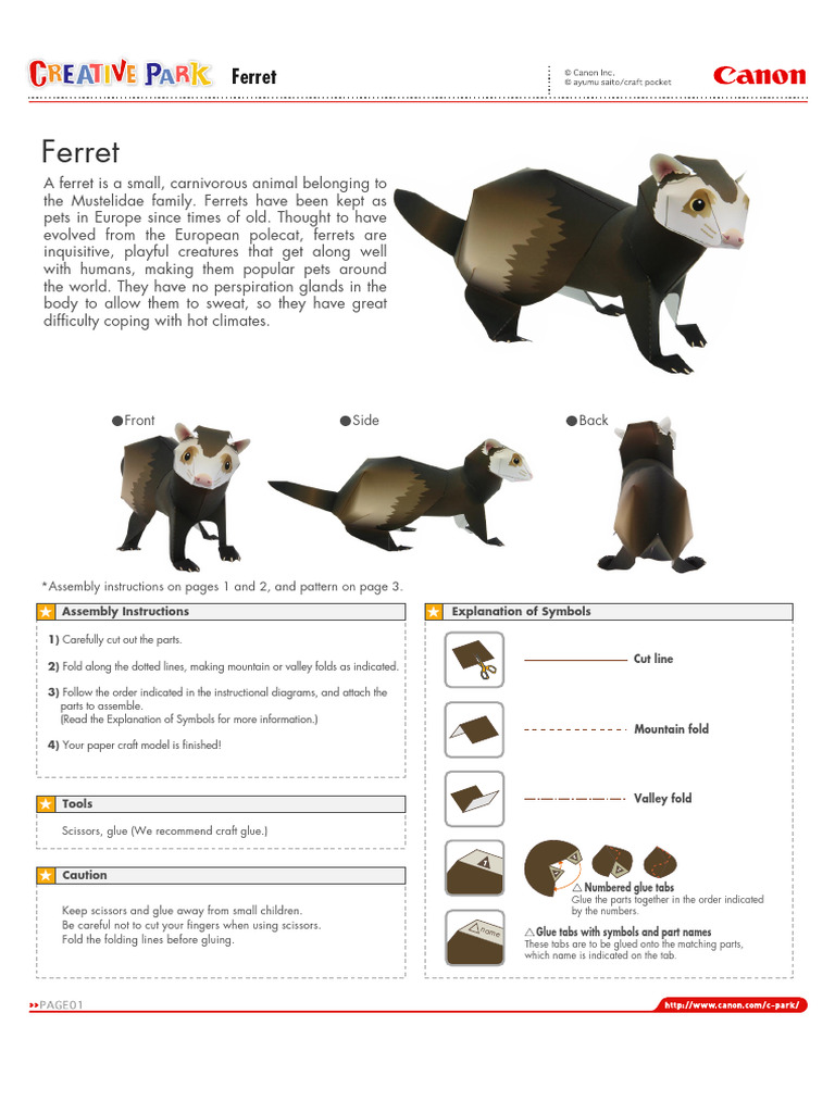 Ferret Papercraft Assembly Guide | PDF | Owl