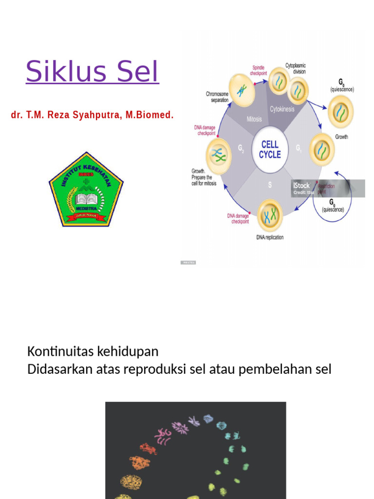 Siklus Sel | PDF