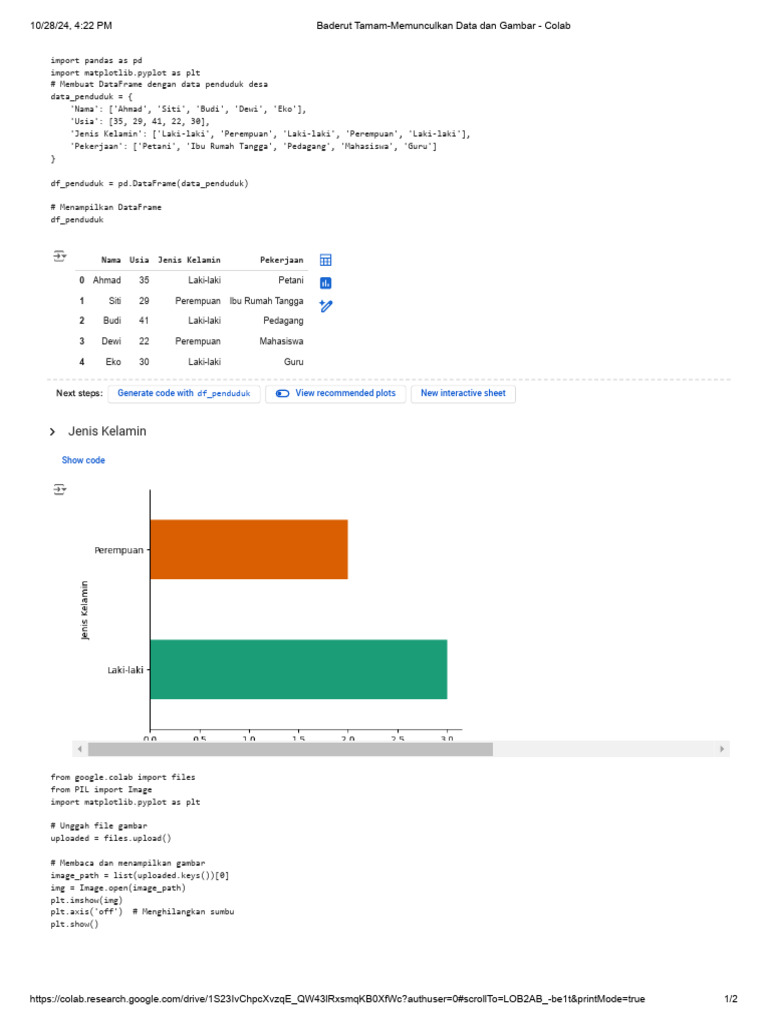 Baderut Tamam-Memunculkan Data Dan Gambar - Colab | PDF