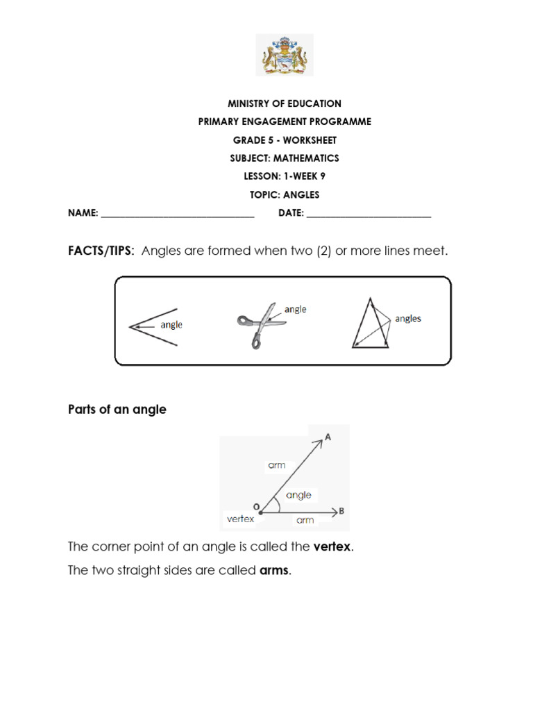 Grade 5 Angles and Lines Worksheets | PDF | Angle | Trigonometry