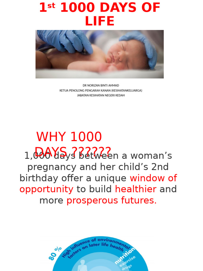 Importance of the First 1000 Days | PDF