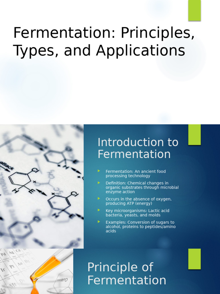 Fermentation Principles Types and Applications | PDF | Lactic Acid ...