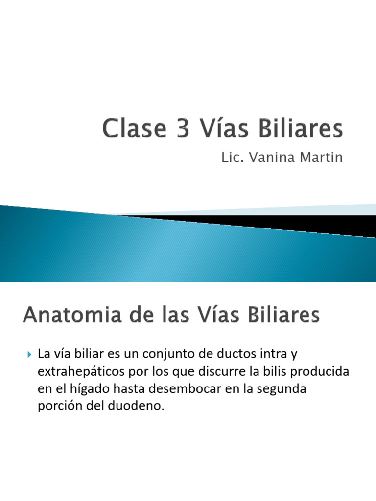 Clase 1 Vías Biliares | PDF | Hígado | Sistema digestivo