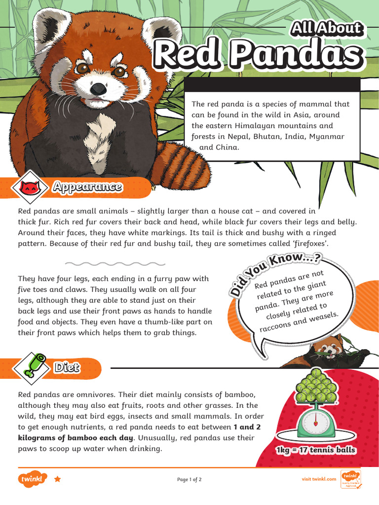 T TP 1686219013 Uks2 All About Red Pandas Differentiated Reading ...