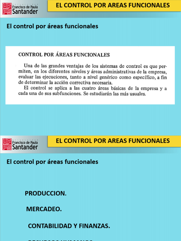 4 Control Areas Funcionales | PDF | Business | Marketing