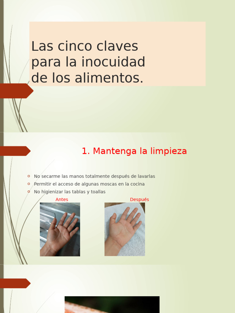 Las Cinco Claves para La Inocuidad - Gabriela Paternina | PDF