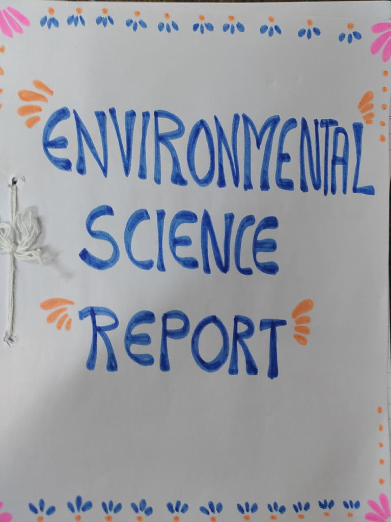 Sheeza Jamal Evs Report | PDF