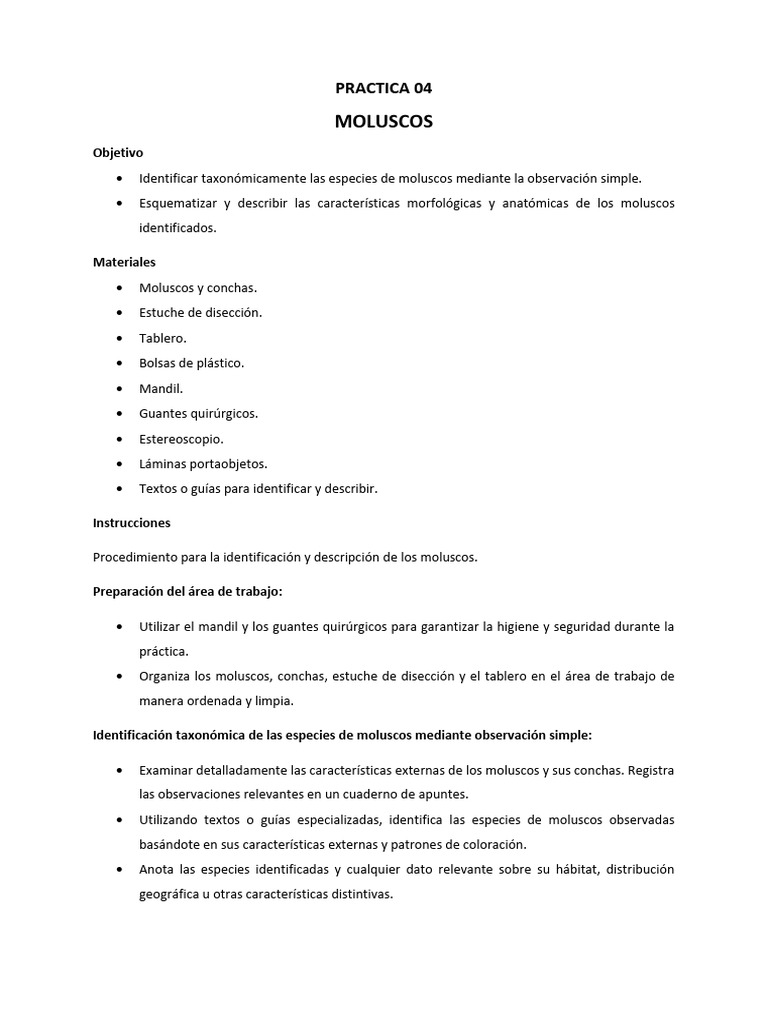 PRACTICA 04 - Moluscos | PDF | Moluscos
