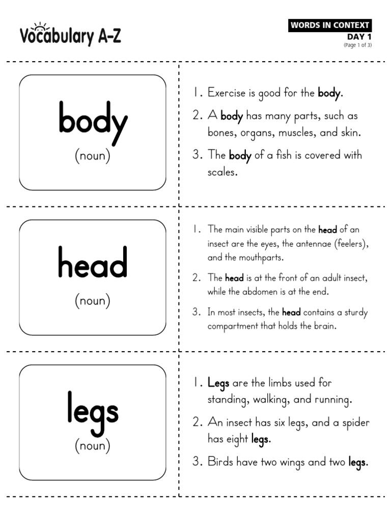 One Insect | PDF | Insects | Adjective