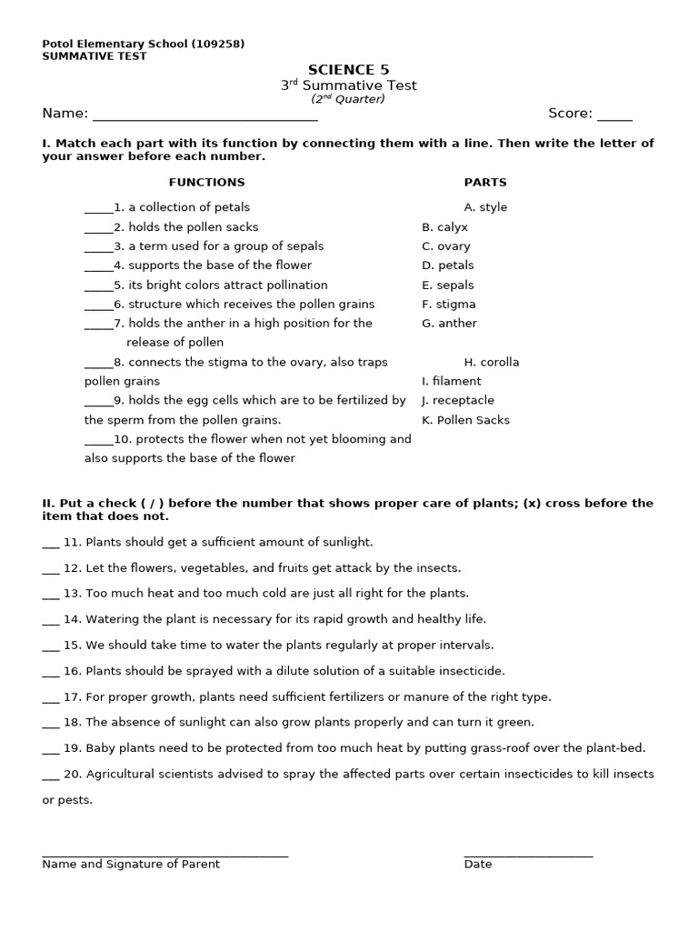 SCIENCE 5 ST 3 (1) | PDF | Flowers | Petal
