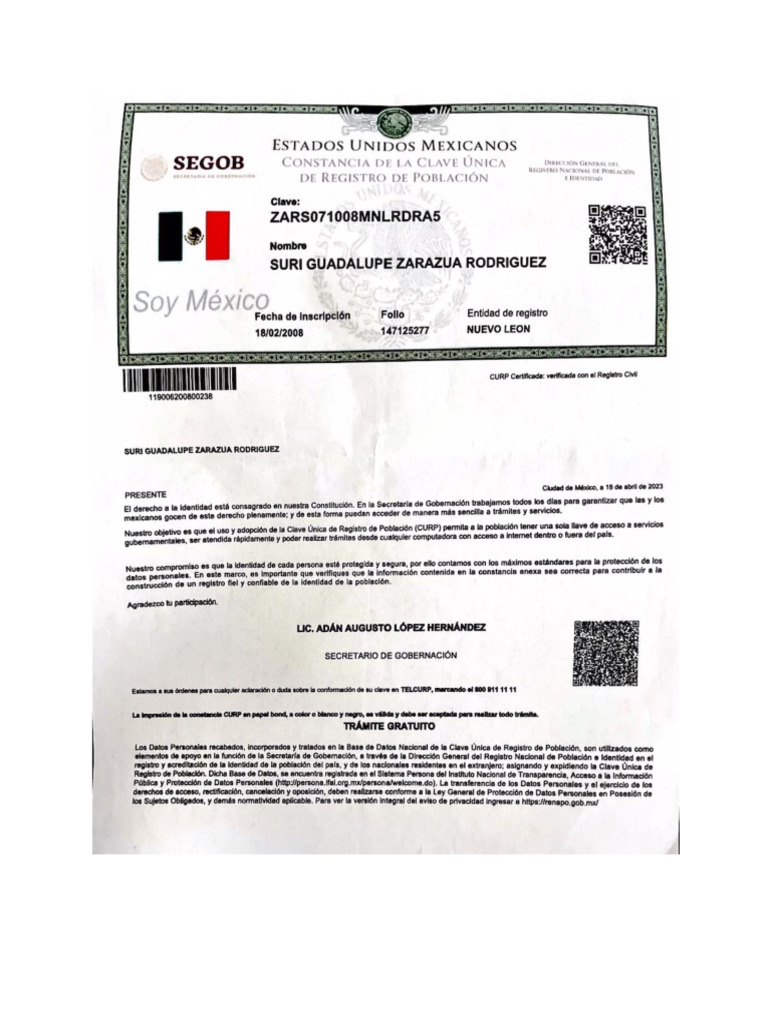 CURP | PDF