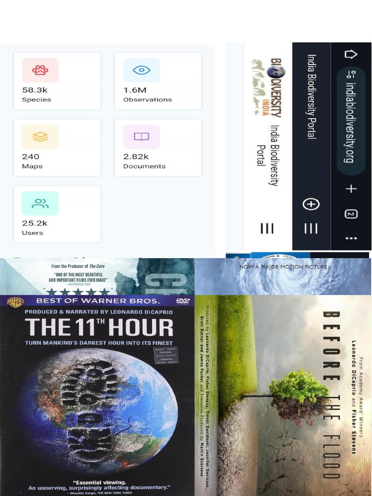 Evs Project | PDF