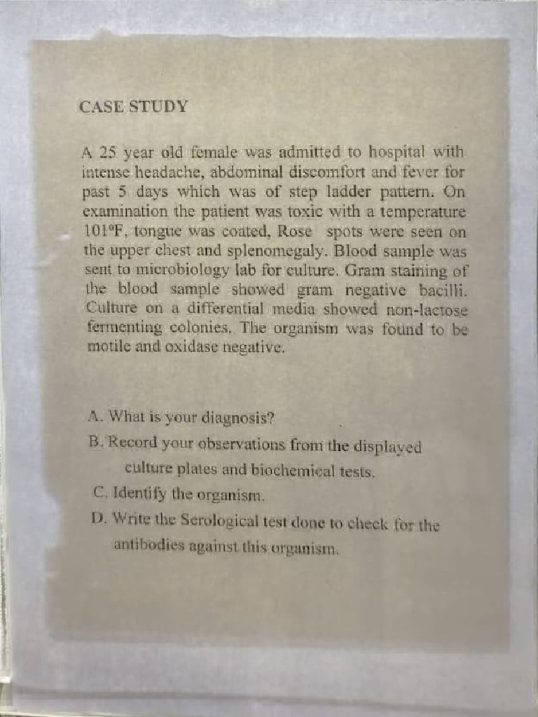 Bacteriology Charts | PDF | Infection | Staphylococcus Aureus