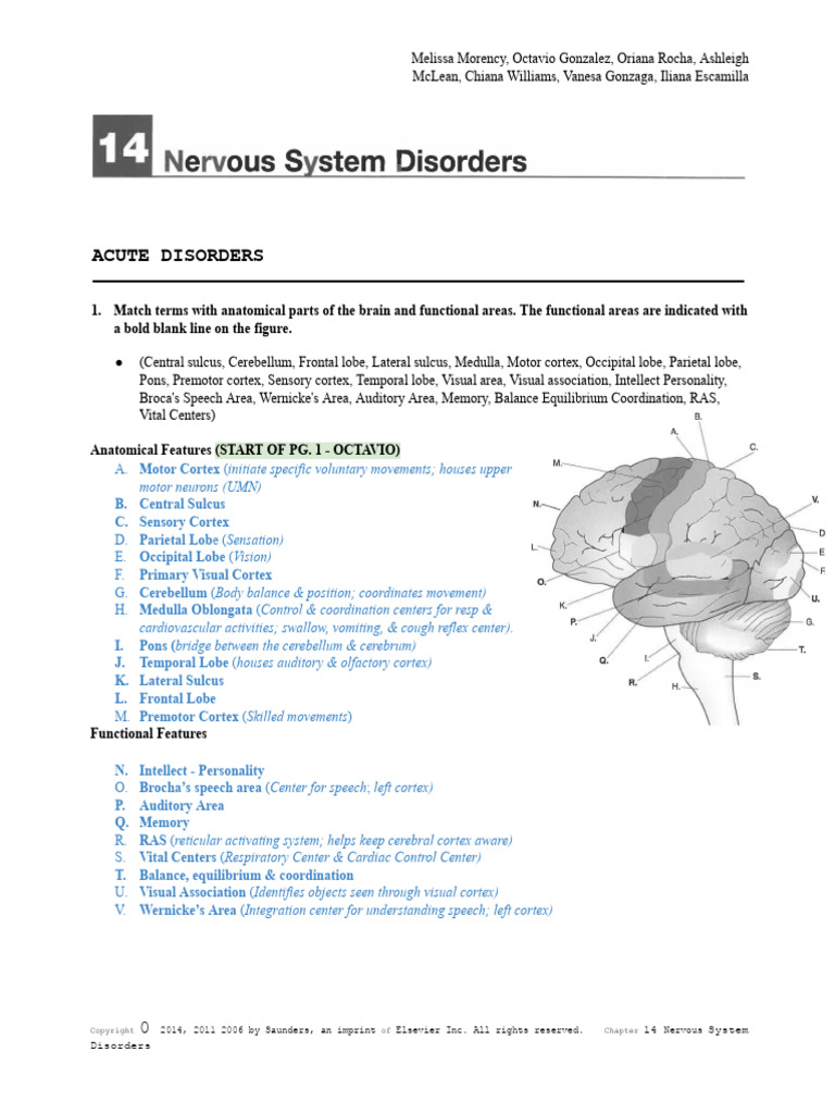 Nervous System Disorders | PDF | Stroke | Cerebral Palsy