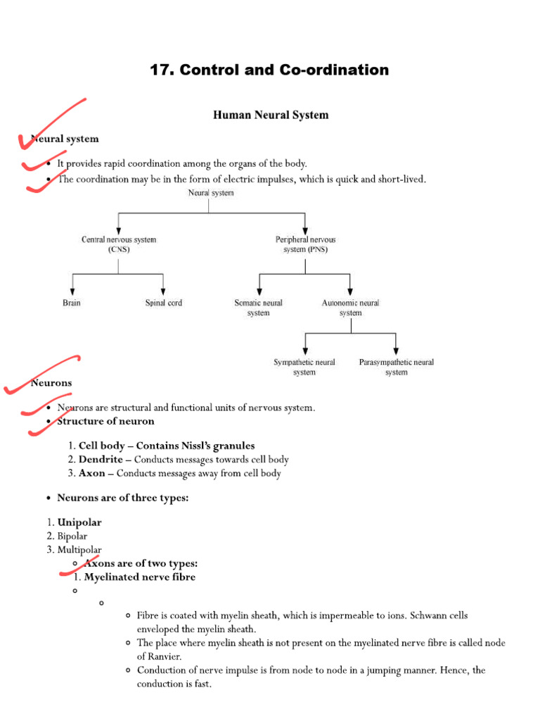 IMP. Notes. C.A.C. | PDF