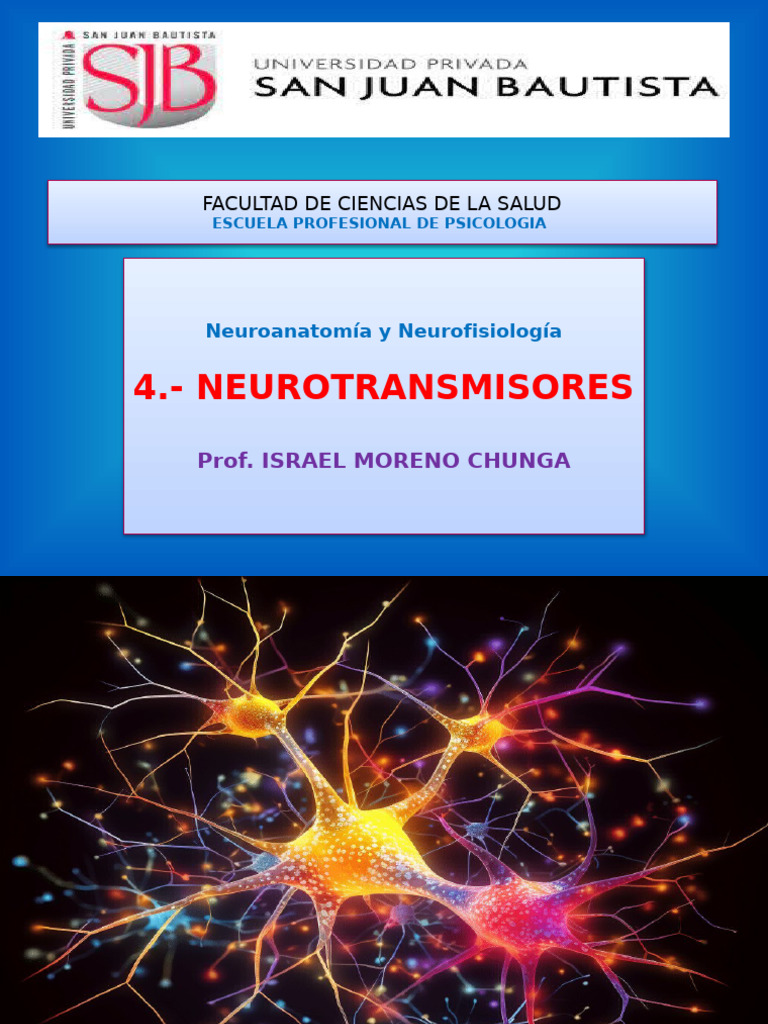 4.NEUROTRANS | PDF | Sinapsis | Norepinefrina