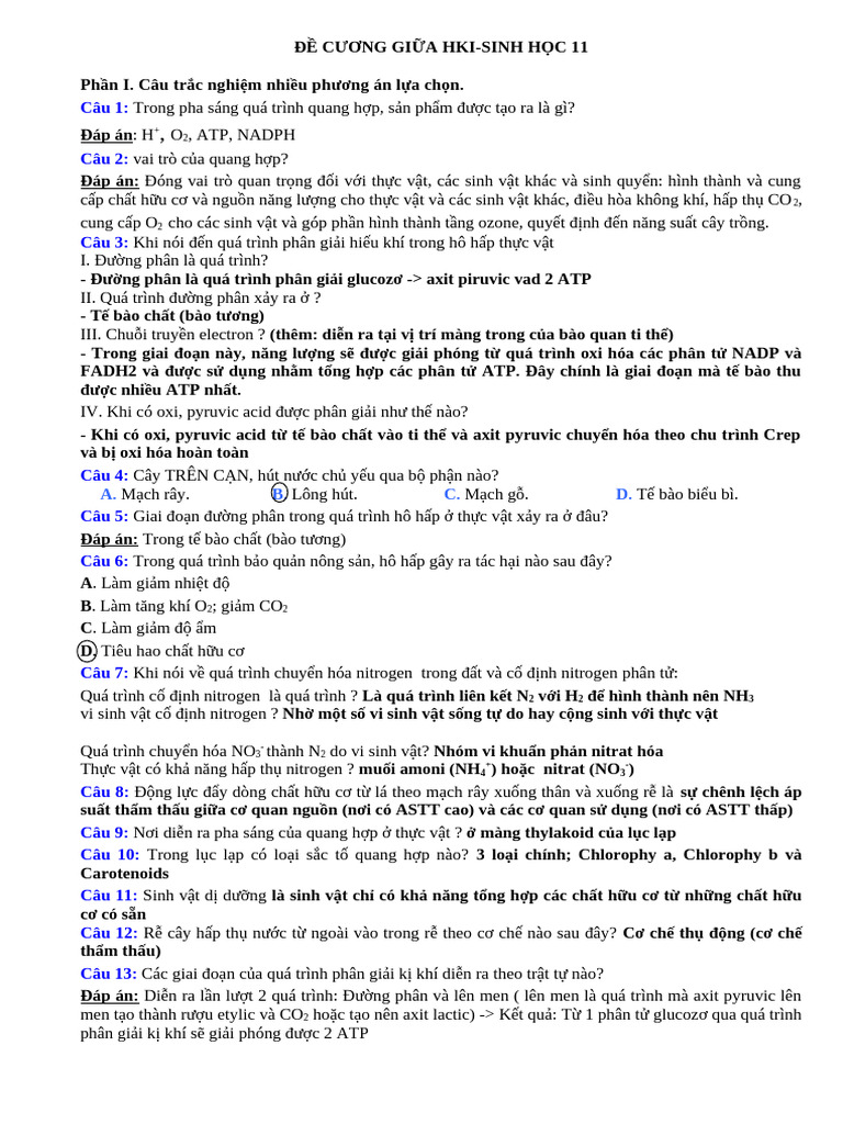 Đề cương Sinh - GKI - 11 | PDF