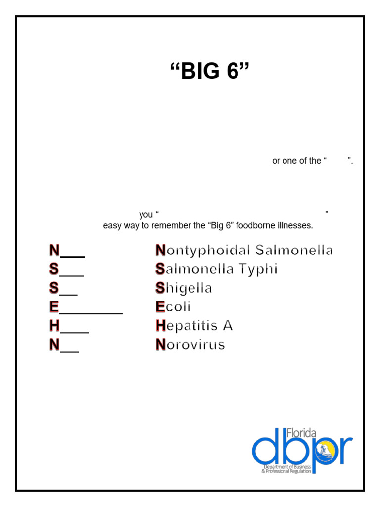 Big 6 Foodborne Illnesses Overview | PDF