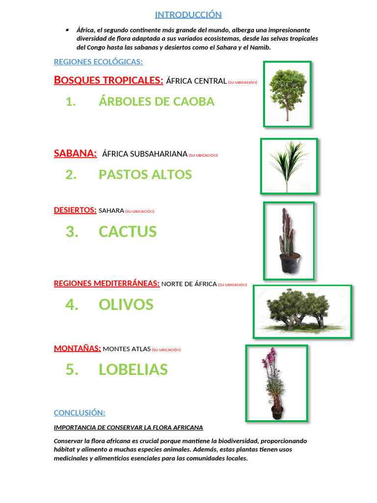 Tema de La Flora Historia | PDF