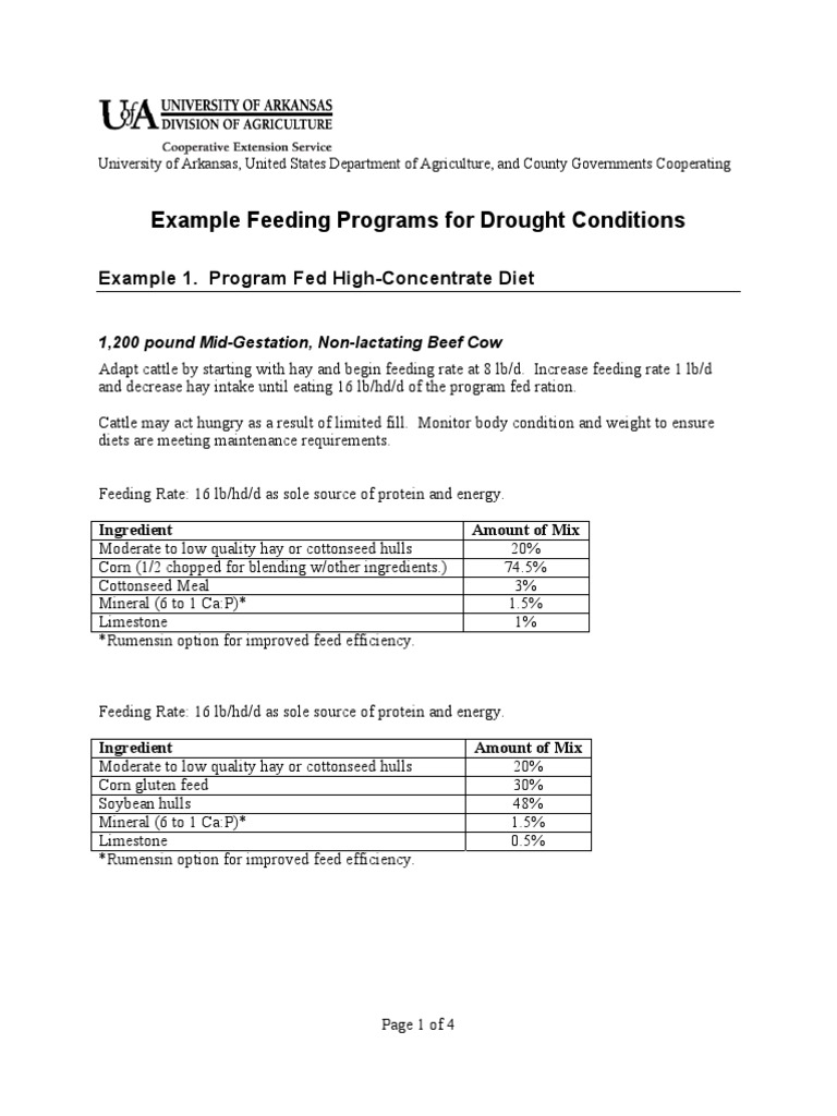 Example Feeding Programs Drought | PDF | Cottonseed | Livestock