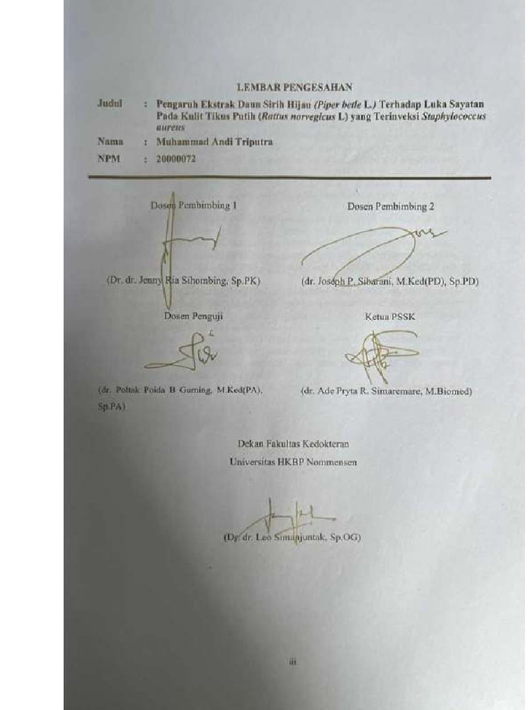 Muhammad Andi Triputra | PDF