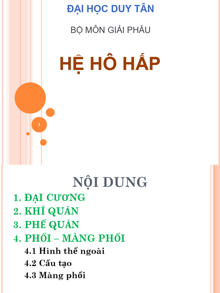 He Ho Hap 2023 | PDF