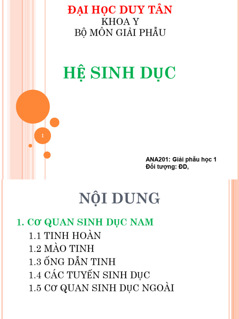 He Sinh Duc | PDF