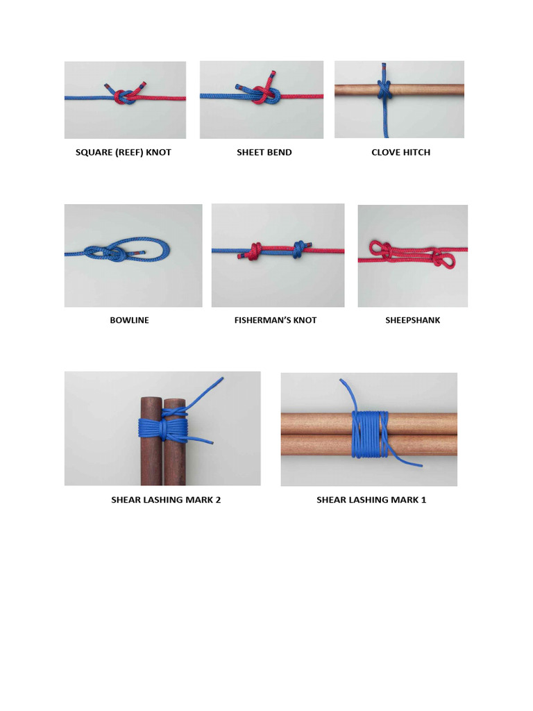KNOTS | PDF