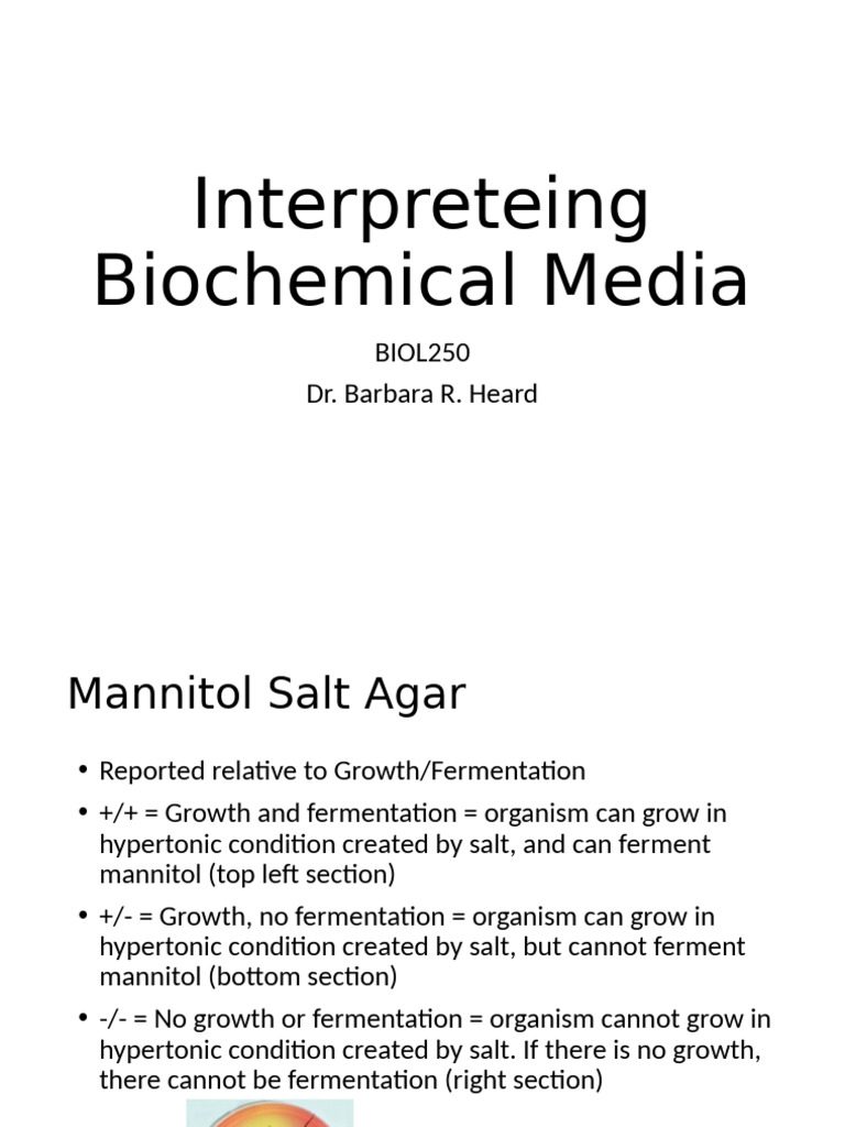 Biochemical Media Interpretation Guide | PDF | Glucose | Fermentation